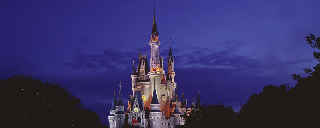 Walt Disney World Castle At Night With Logo