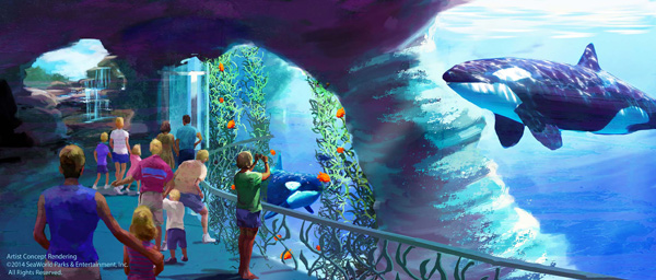 SeaWorld Expands Killer Whale Habitat in New Blue World Project ...