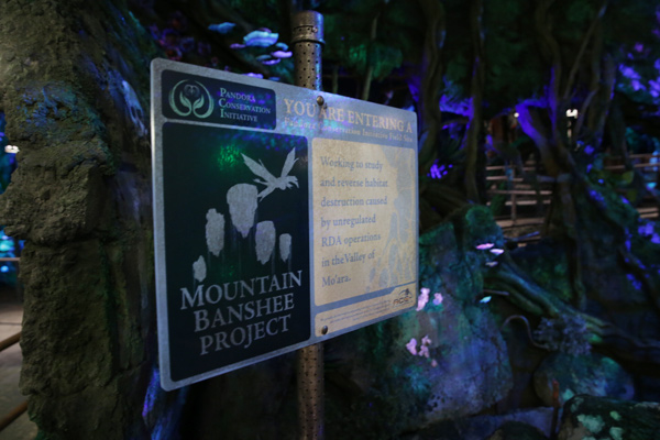 Inside Look at Avatar Flight of Passage Ride & Queue | BestofOrlando.com
